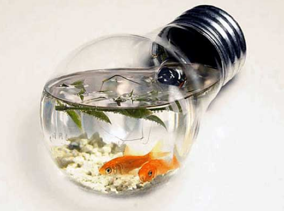 Upcycle Us: Upcycled fish tank