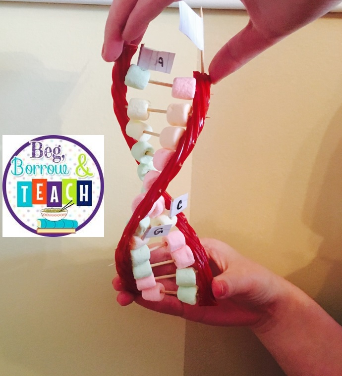 Sweet Treats to Inspire Learning from Pre-K-12 | Virginia is for Teachers