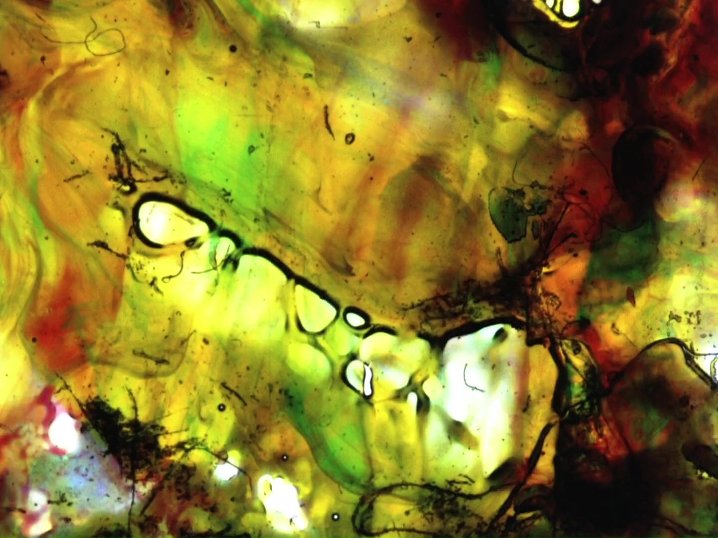 Notes On Cinematograph: Miniatures in Motion: Stan Brakhage and Iran