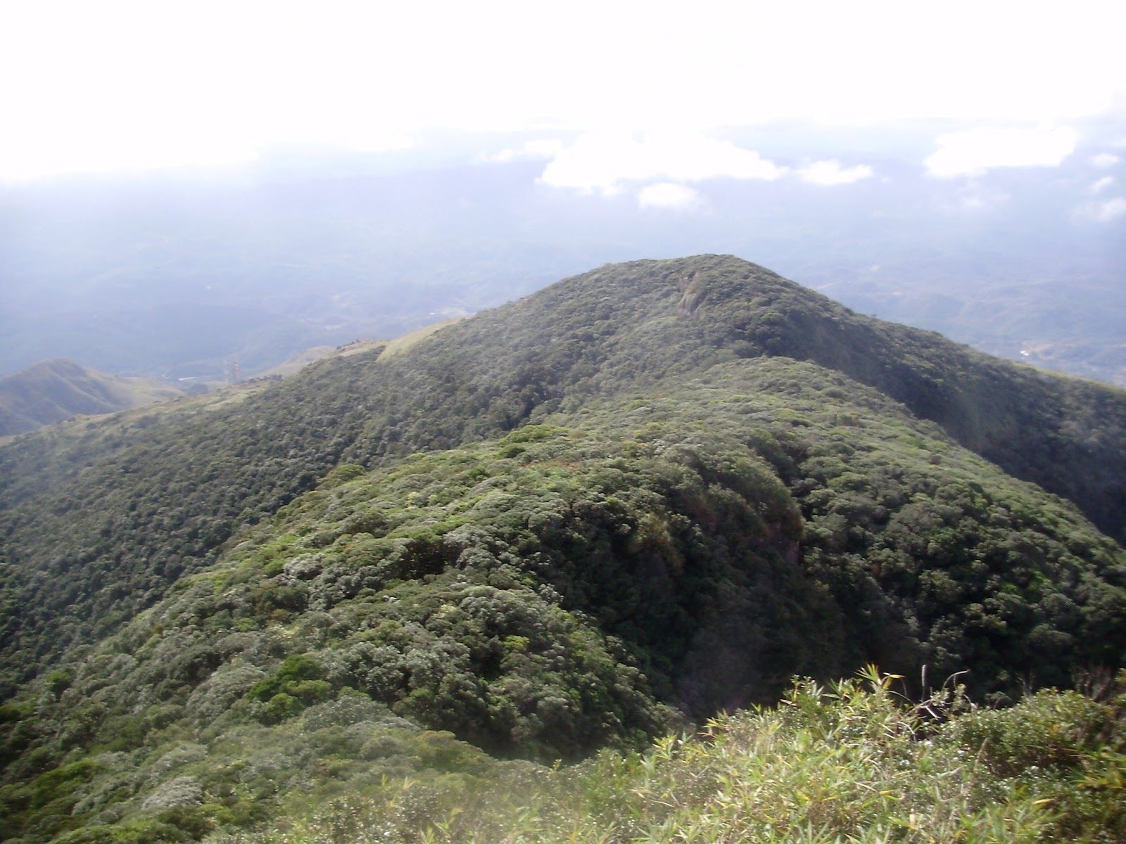Prof. Fernando Bonato: Visita Técnica ao Morro do Capivari - Campina ...