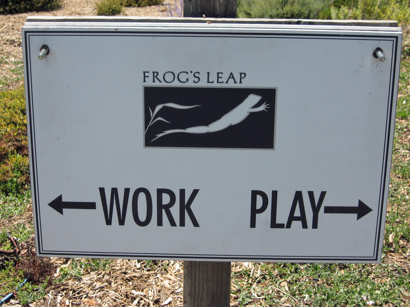 Frogs leap - equipmentstart
