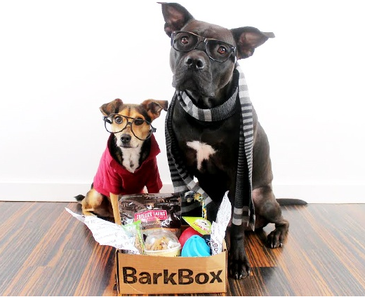 Subscription Fever: Barkbox Toy Review - The Dognald