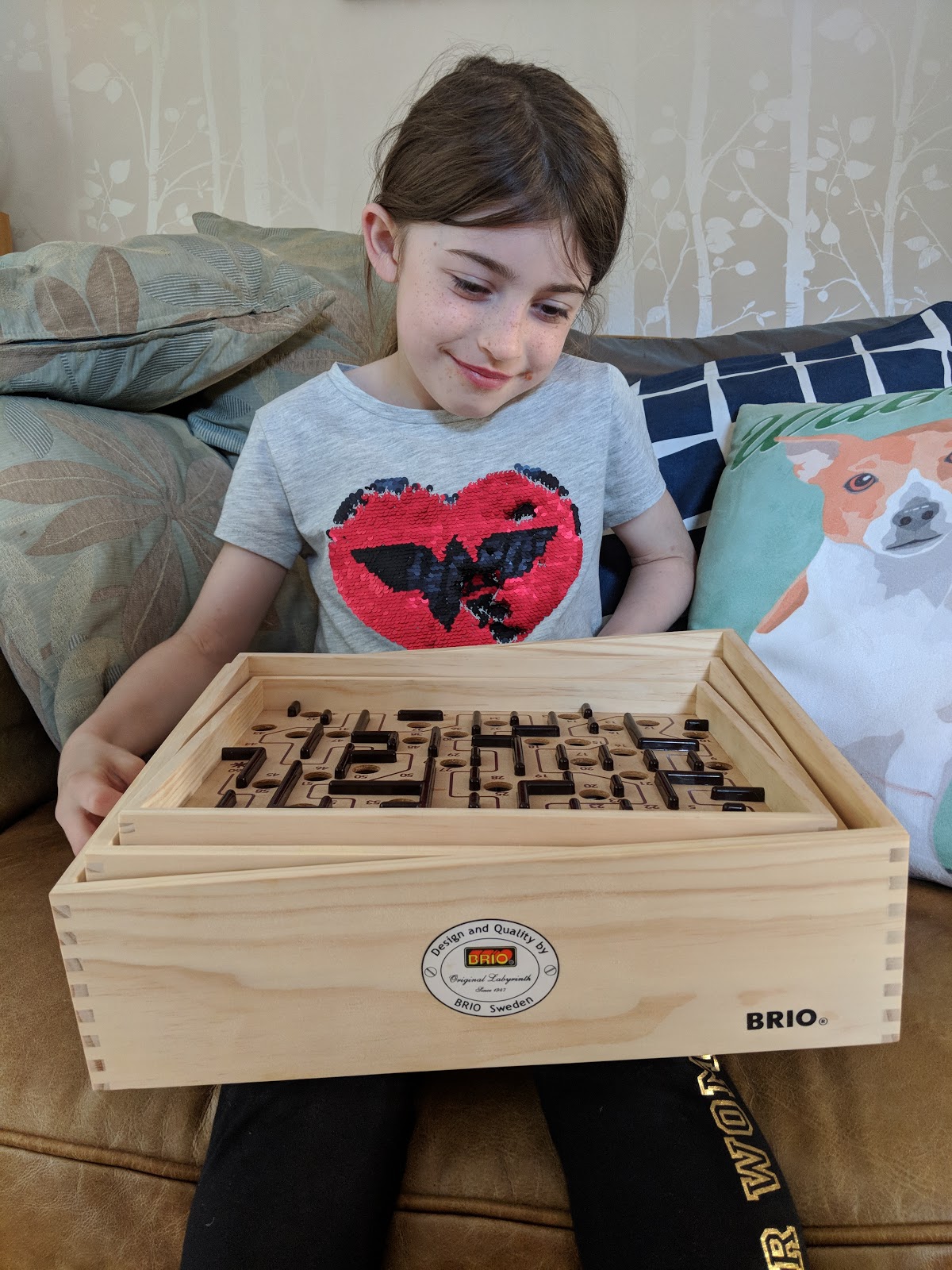 Review : BRIO Labyrinth Wooden Ball Game - This day I love.......