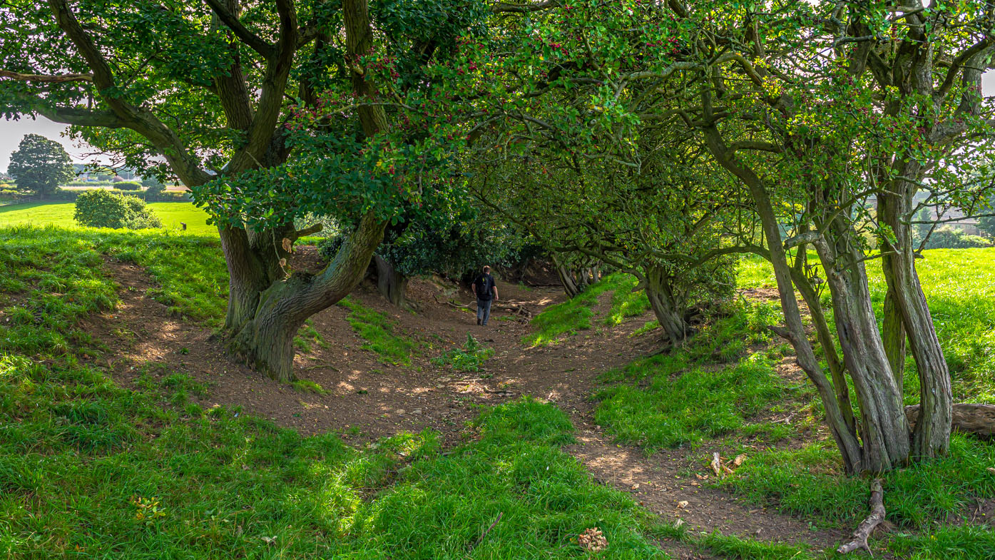 Last Of The Summer Pies: 12.7 Mile Circular Walk - The Luddites, The ...