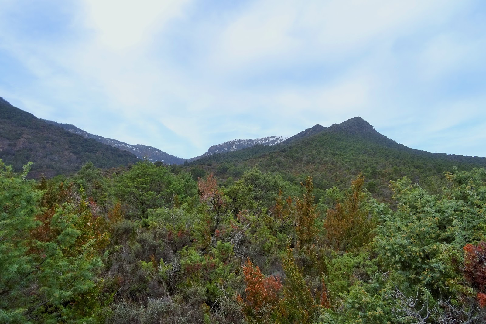 elpirineodejose: Pico Cuculo (1.549 m.) desde Sta. Cruz de la Serós y ...