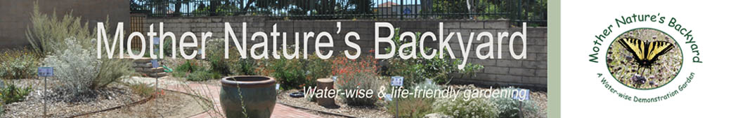 Mother Nature's Backyard - A Water-wise Garden: Harvesting Rain ...