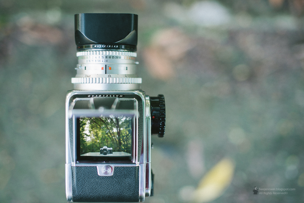 Within the Chronicles' Frame: Getting your first Hasselblad Film Camera