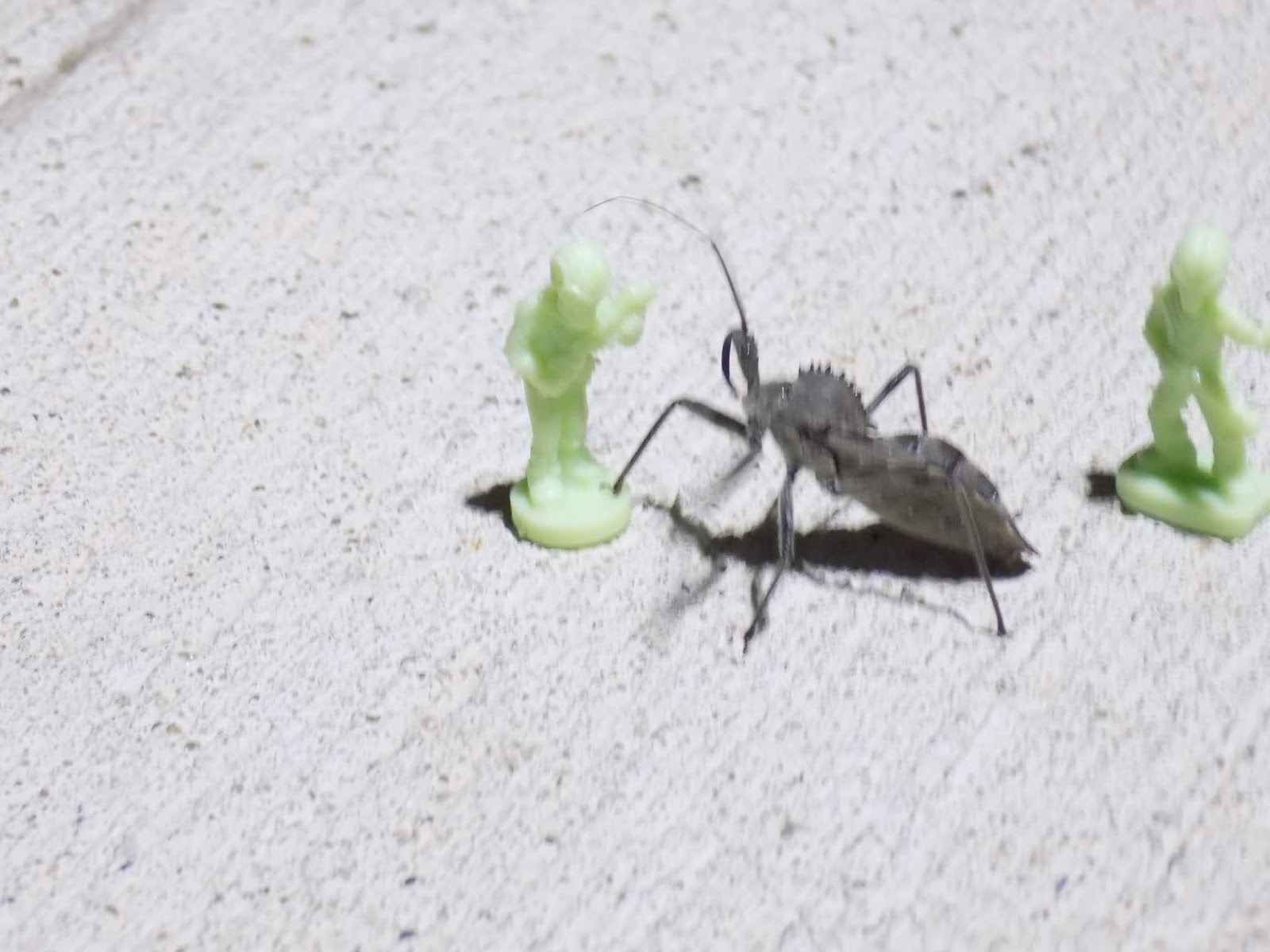 Bunker Talk: Mars vs Bugs