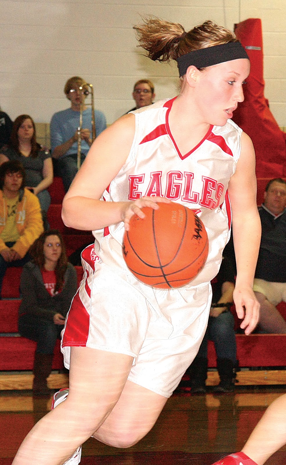 Huron Daily Tribune Sports Blog: 2010-11 All-Trib Girls Hoop Team
