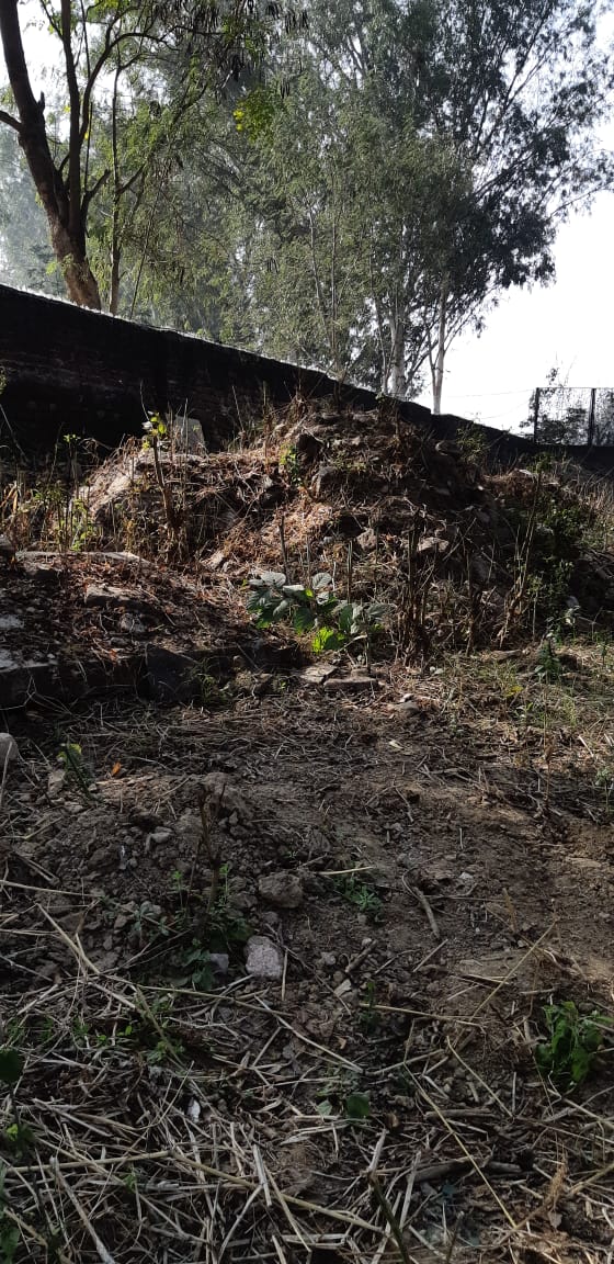 guava gardens: Jullundur RA Cemetery