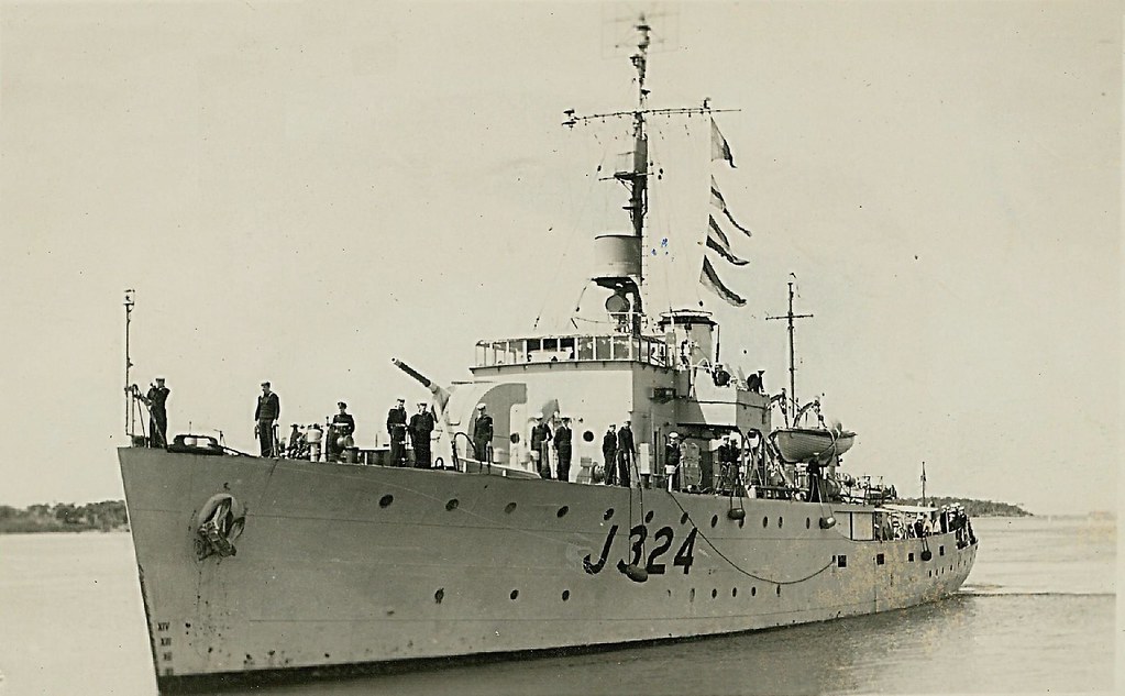 ss Waratah, A Professional Analysis