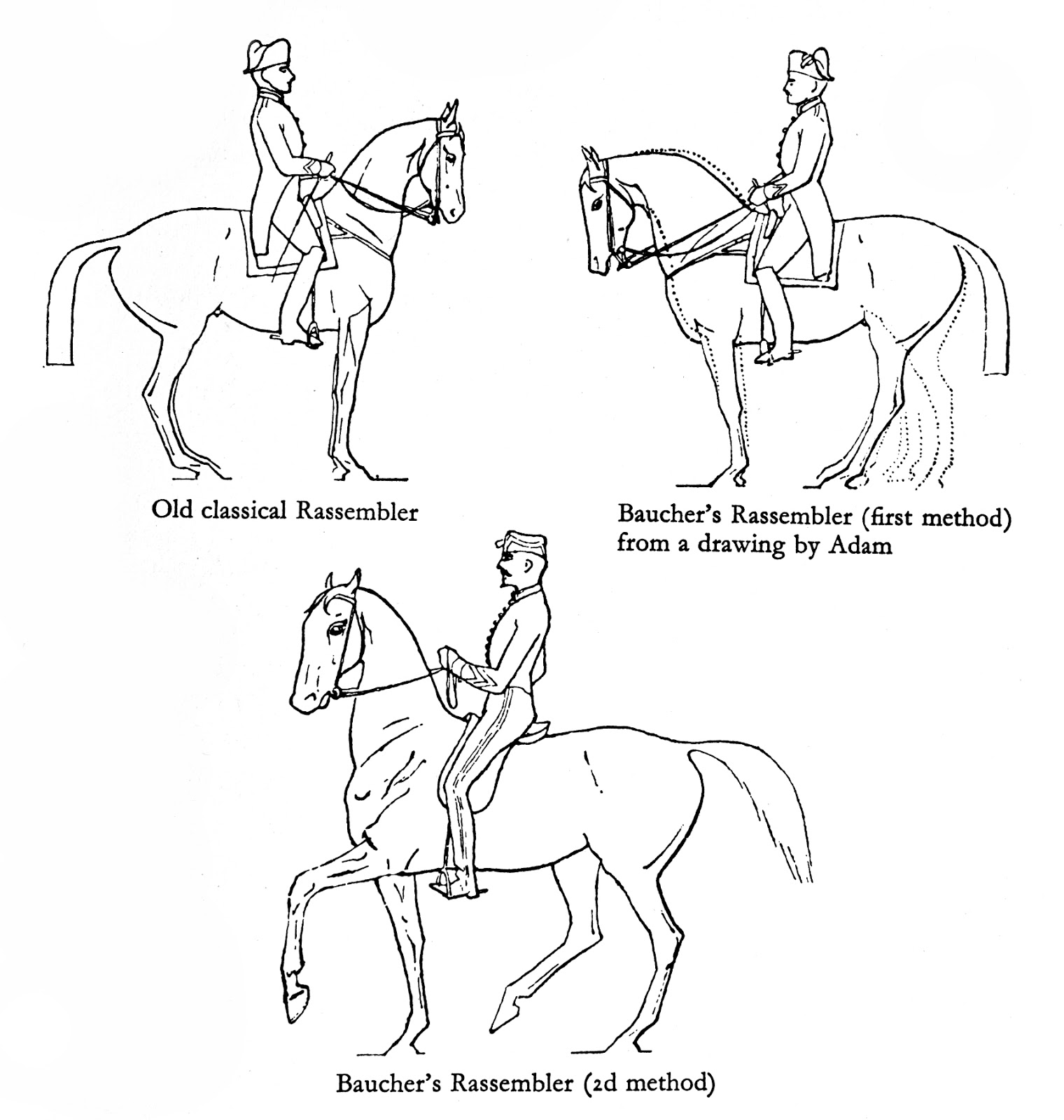 Lisa Scaglione Classical Dressage