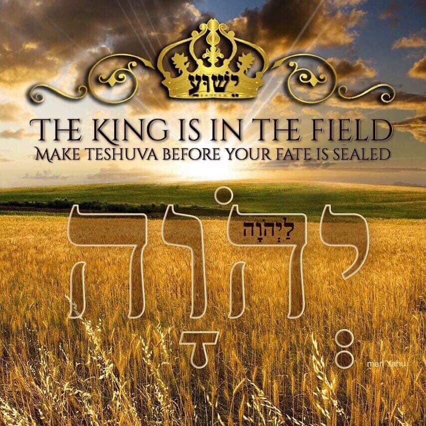 Isaiah Sixty One Seven