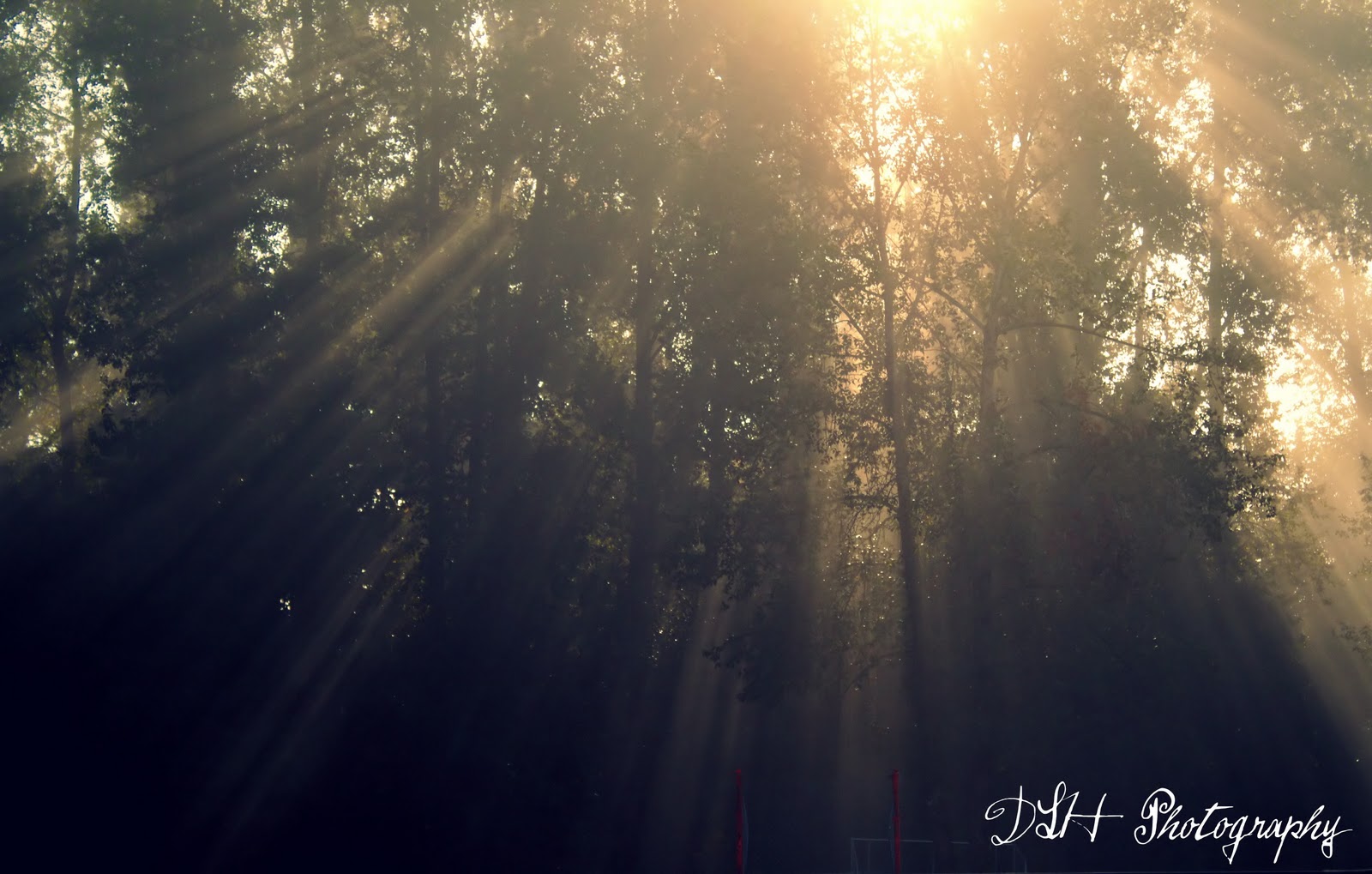 DLH Photography: Waking up with the sun.