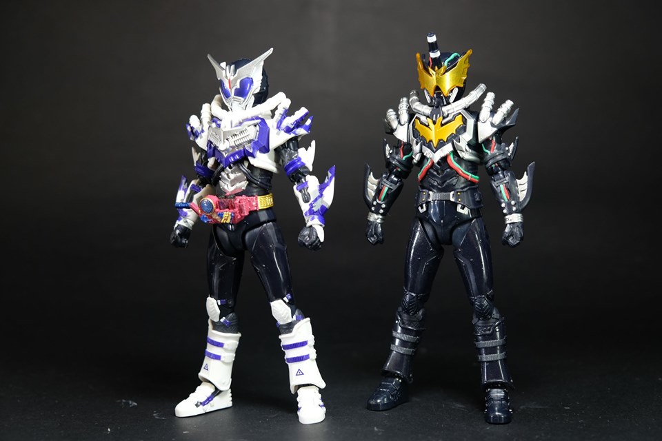 Firestarter's Blog: Toy Review: S.H. Figuarts Kamen Rider Mad Rogue