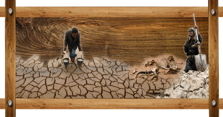 Disaster Point: Disaster Collages