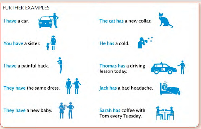 Inglés I: Have in the present simple