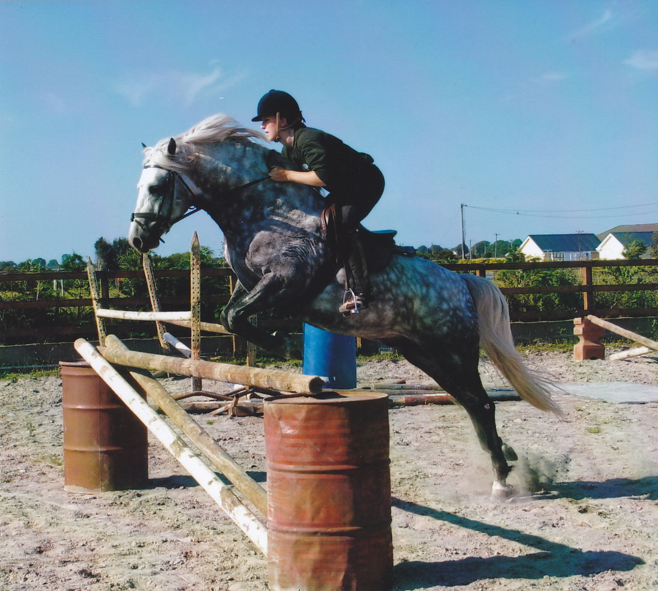 The Adventures of Shauna and the Sheep: September 2012