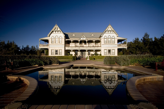 George Ribbon's Magnolia