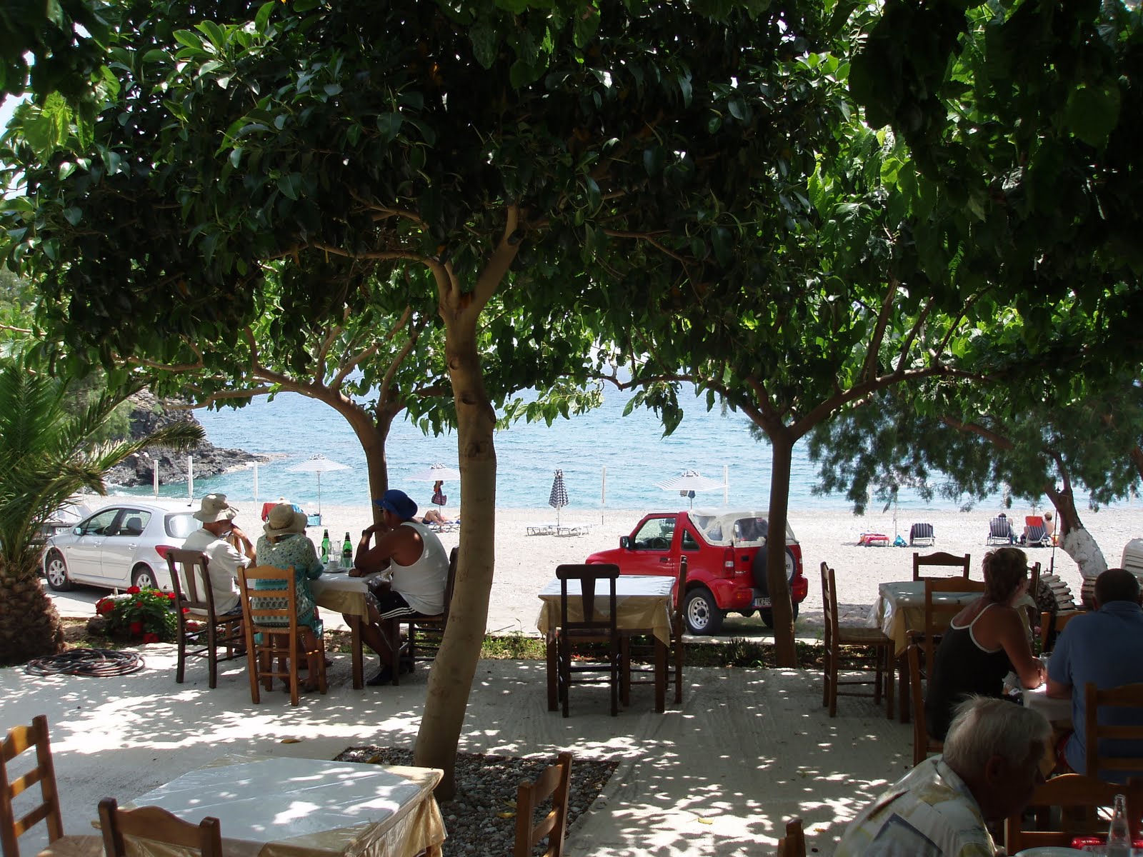 Tαξιδεύοντας και όχι μόνο...: Ροδάκινο Ρεθύμνου
