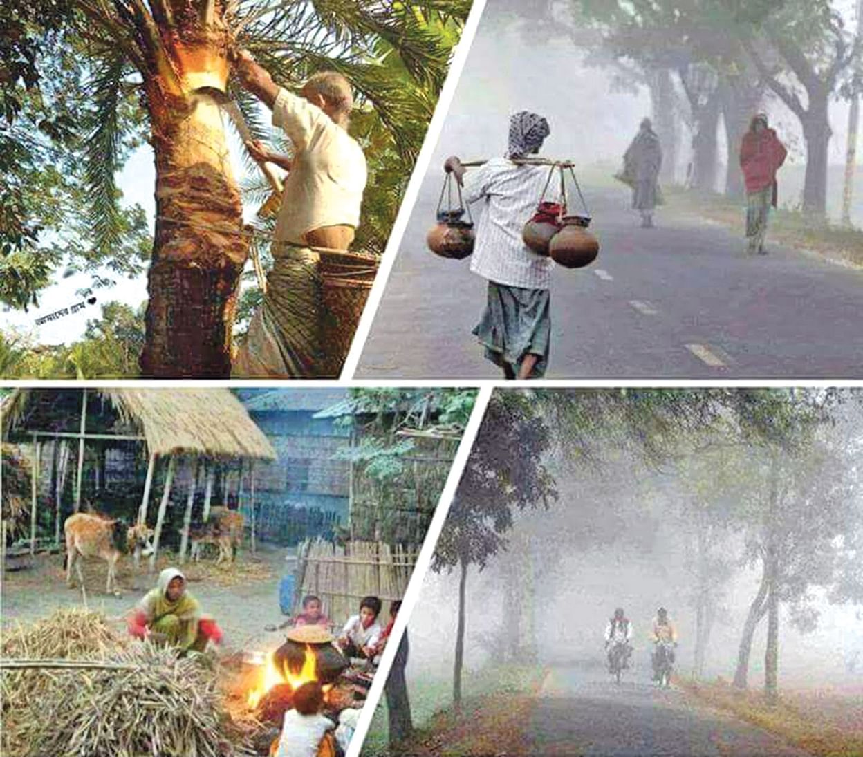 Rural Life Vs City Life paragraph in 500 word