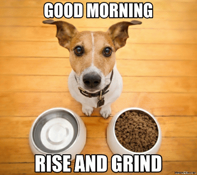 Free Good Morning Memes to make even Happier for you