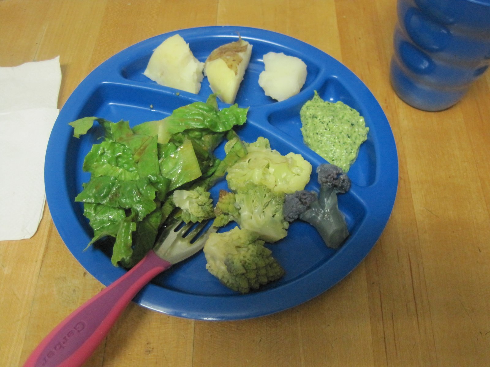 Beyond Prenatals: Sectional Plates Part 2: Half Plate Vegetable Pictures