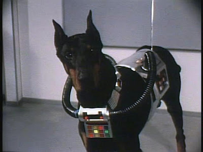 CLÍMAX: Top Max: 14,5 Melhores Tokusatsus Exibidos no Brasil - Metalder ...