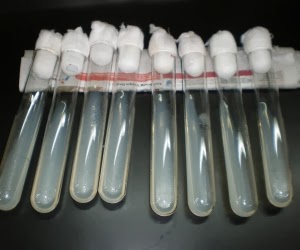 Gambar Di Dalam Laboratorium