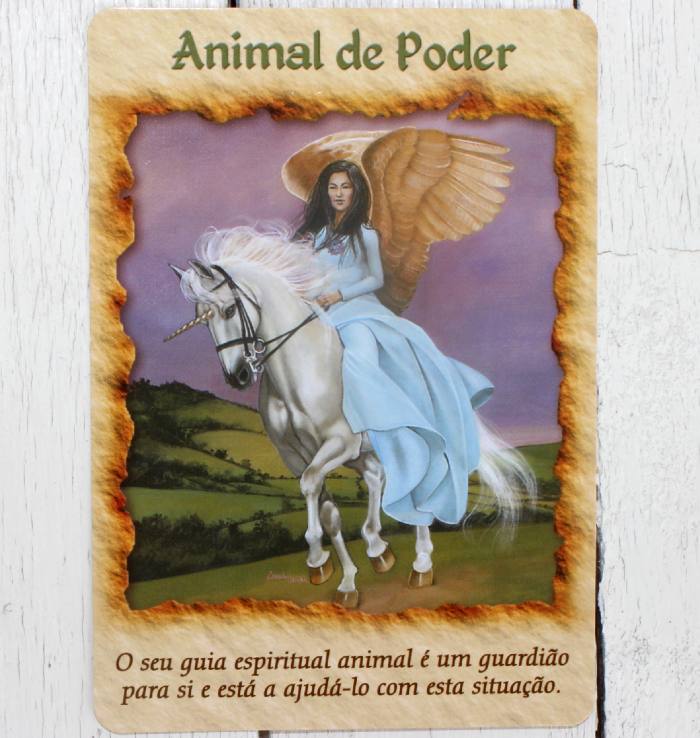 Qual é o seu animal de poder? - maga rosa