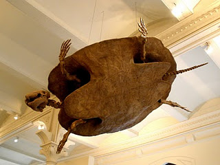 Mundo Pré-Histórico: Stupendemys, a tartaruga estupenda!