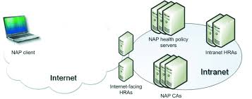 Apa yang dimaksud NAP(Network Access Point),IXP(Internet Exchange Point ...