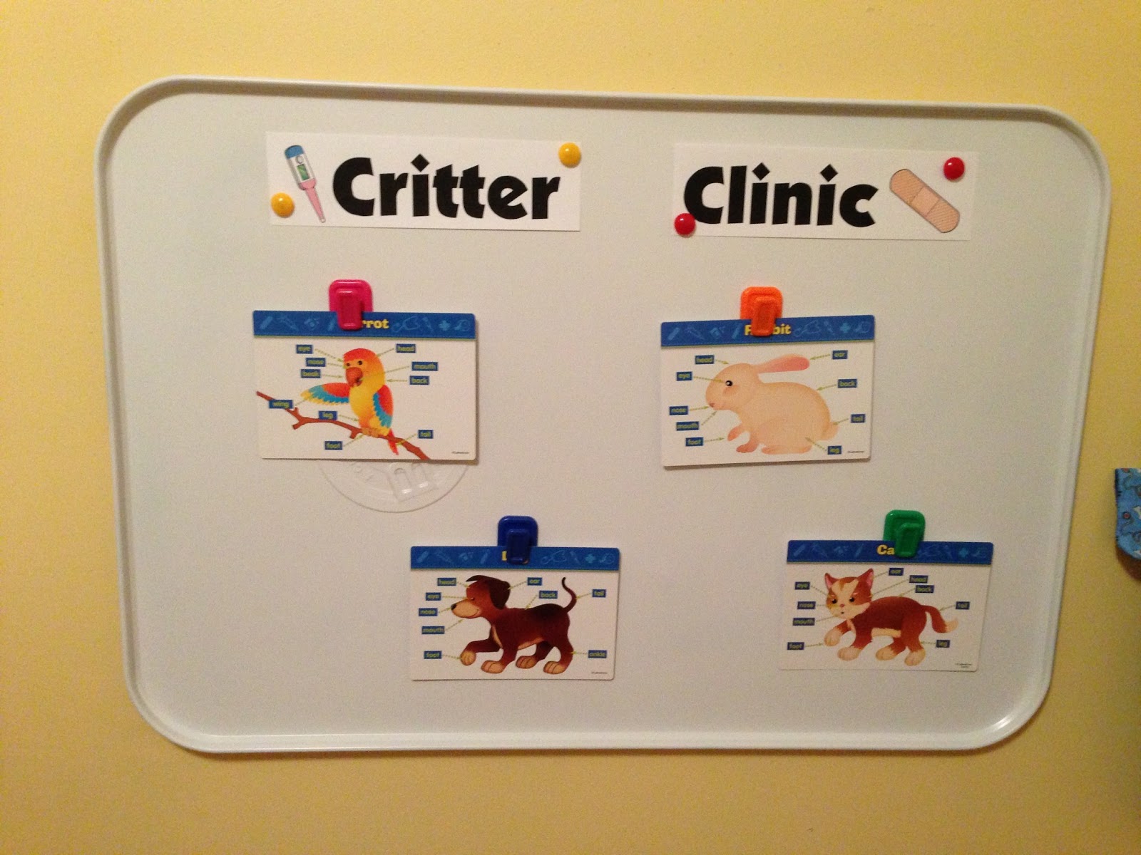 The Thoughtful Spot Day Care: The Critter Clinic