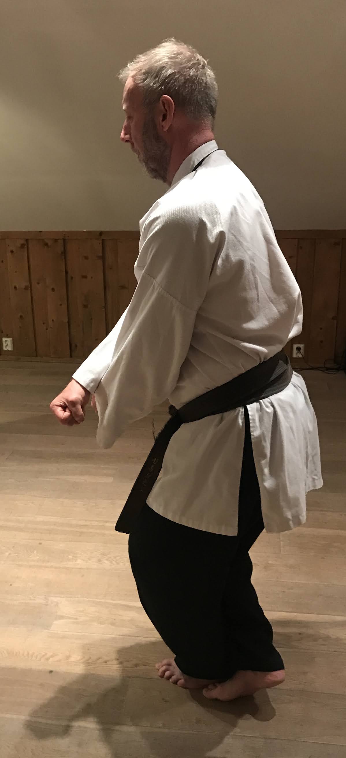 Traditional Taekwondo Ramblings: The Original Koryo Hyung Part 2: Kim ...