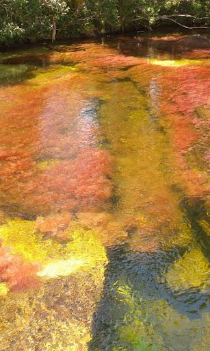 Os 6 Rios Mais Estranhos do Mundo ~ Cumpadrez