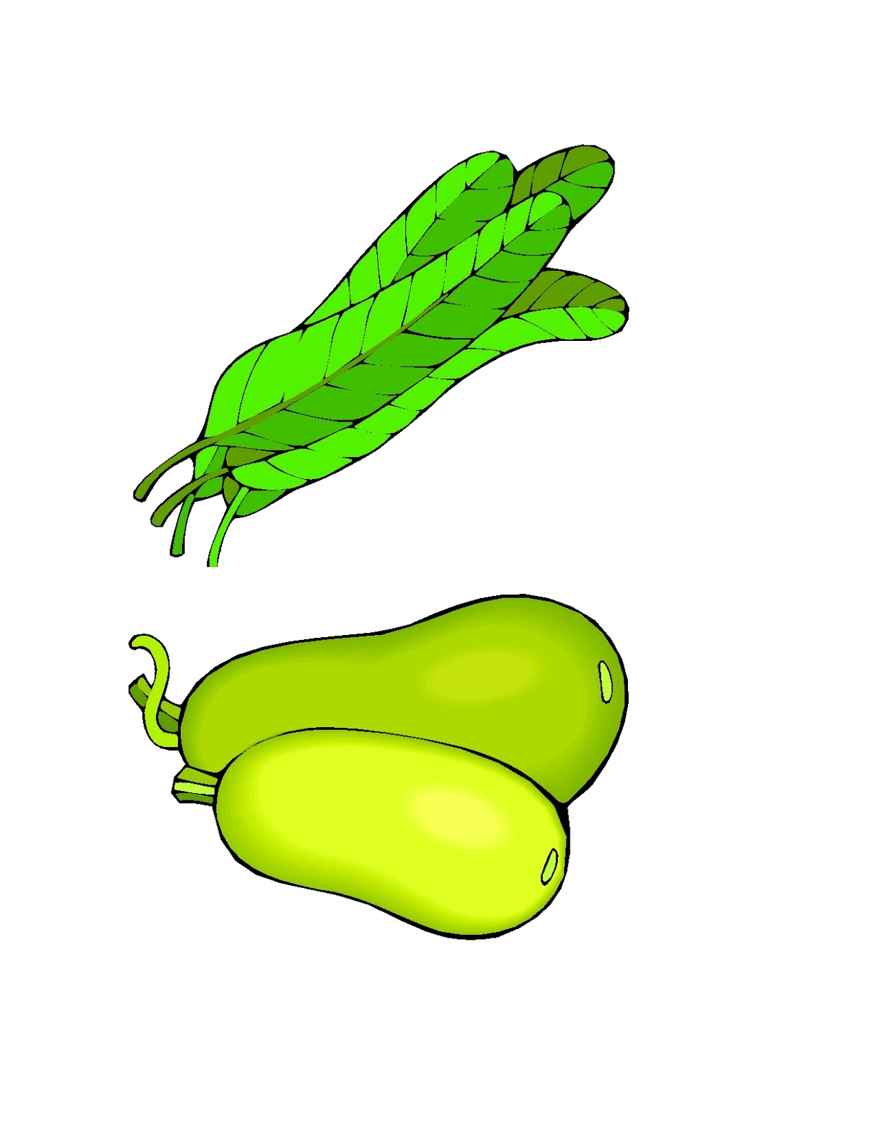 PLANSE colorate cu Fructe si Legume :: Fise de lucru - gradinita si scoala