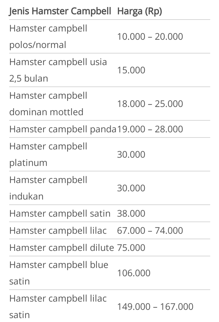 Hamster Campbell dan Harganya | Jenis, Ciri, dan Cara Merawat ...
