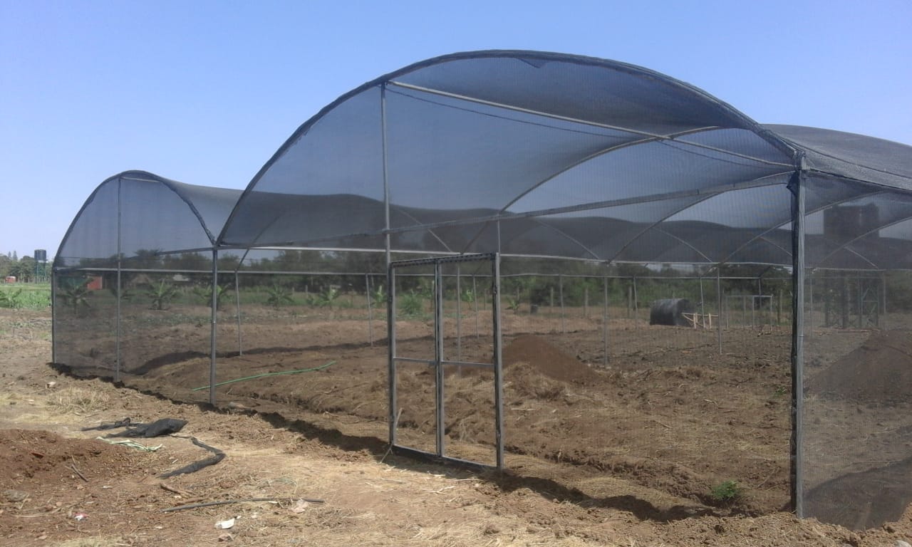 Greenhouse Kenya company[+254723053026]