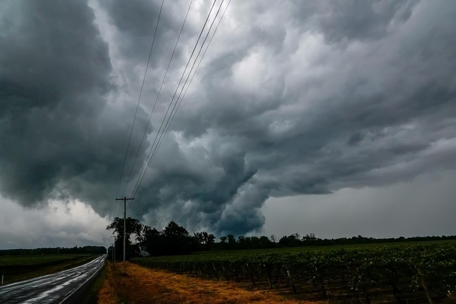 Gale's Photo and Birding Blog: Approaching Storm Clouds