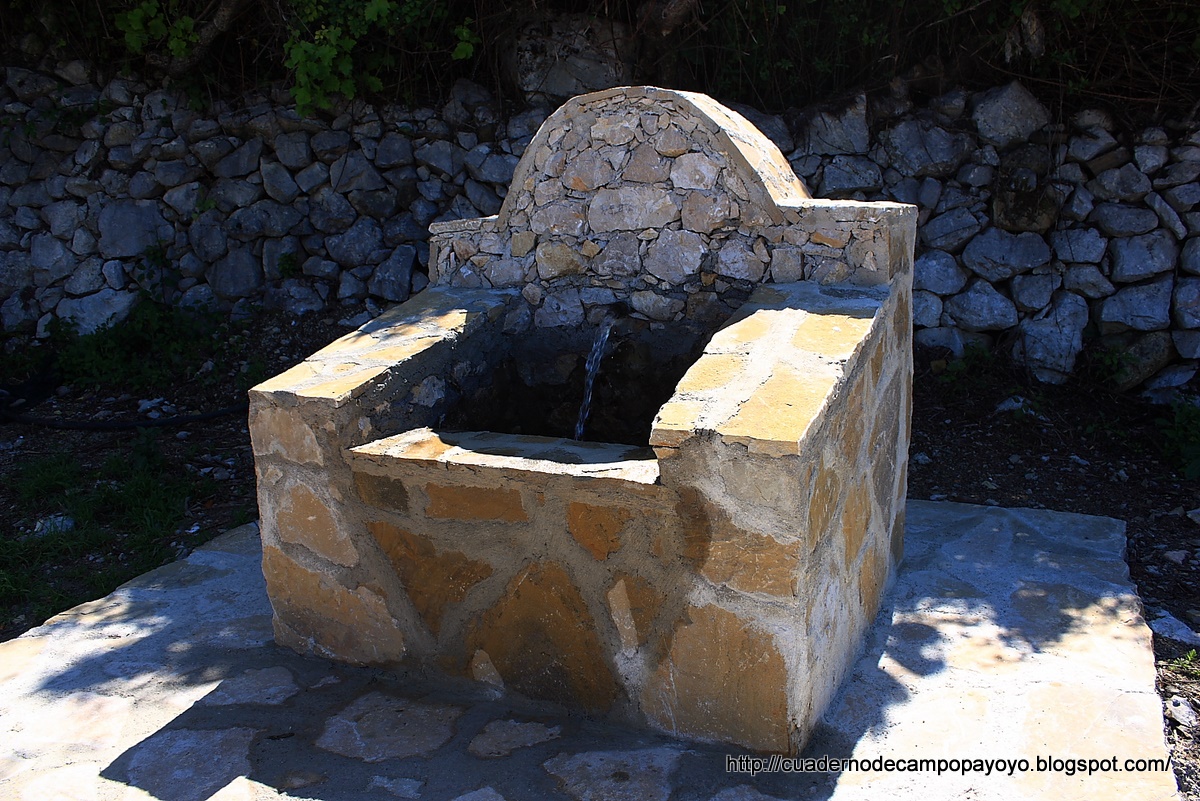 Cuaderno de Campo Payoyo: Fuente de Leonor (o de la Pocita del Nono o ...