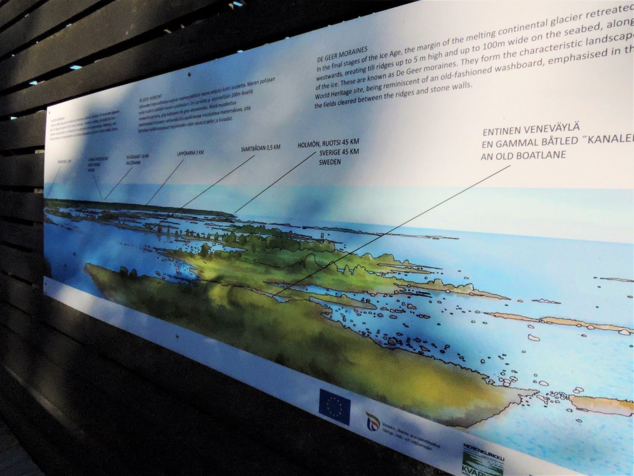 Gröna anemone: Salteriet och Saltkaret