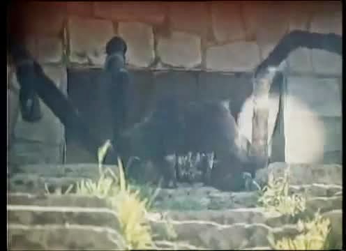 CINE BIZARRO: ATOR L´INVINCIBLE (ATOR EL PODEROSO)