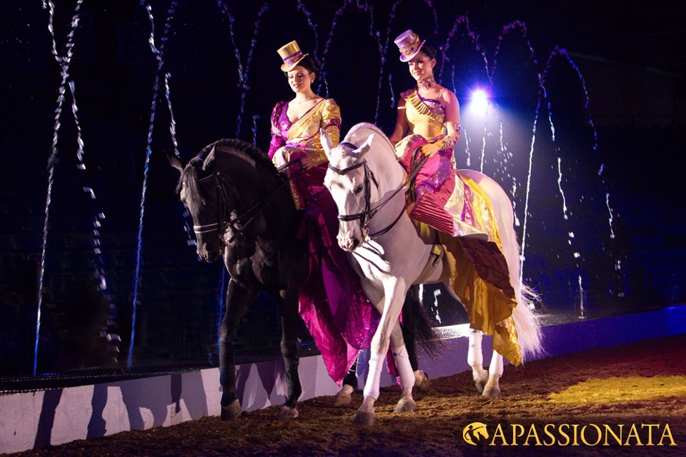 Mein Tagebuch: Apassionata