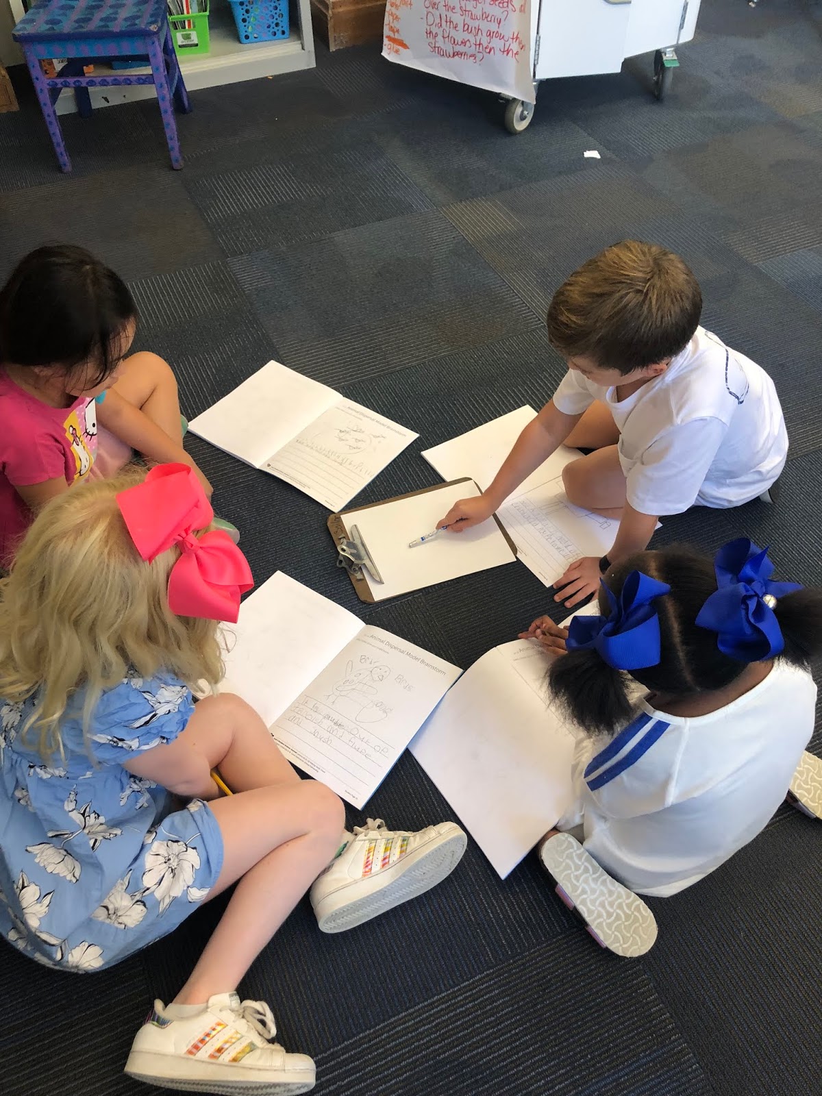 Ms. Sailor's 2nd Grade: Teamwork in Science!