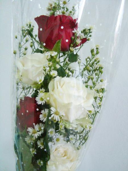 Paling Bagus 16+ Bunga Mawar Putih Atau Merah - Gambar Bunga Indah