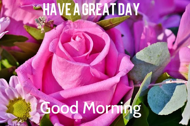 Top 10 Good Morning Images greating Pictures,Photos for Whatsapp - Good ...