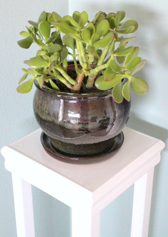 Crafty Sisters: Simple Plant Stand