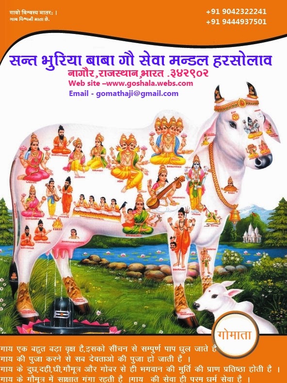 गौमाता ही भारत माँ की पहचान है: jai gaumata jai gopal photos