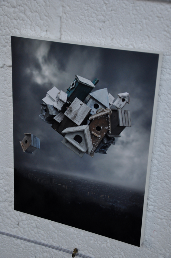 torino for you: > Catrame e Cemento (arte)