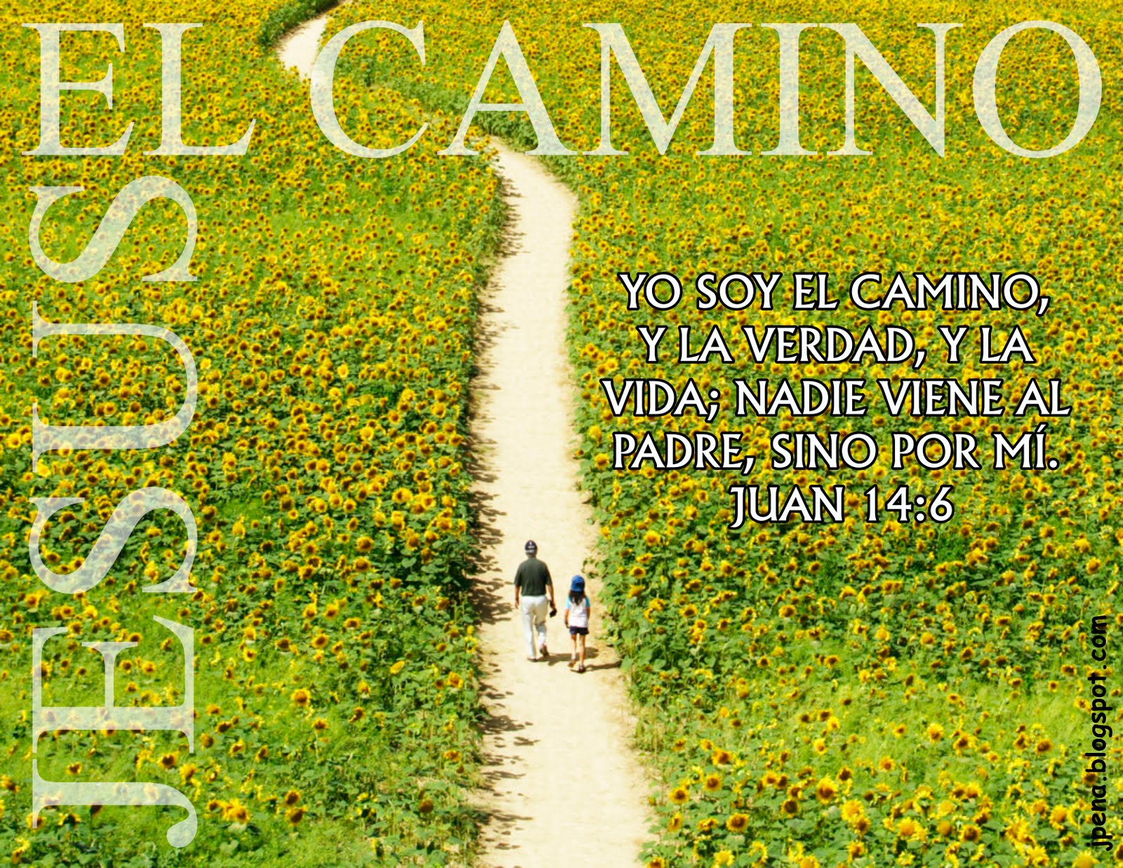 JPENA.BLOGSPOT.COM: JESUS EL CAMINO...